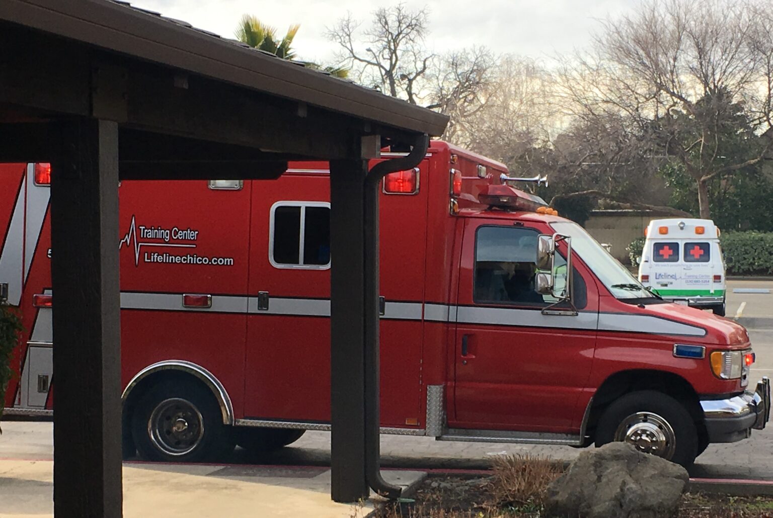 Professional CPR Skills Test (AHA BLS); 2hr – Lifeline Training Center